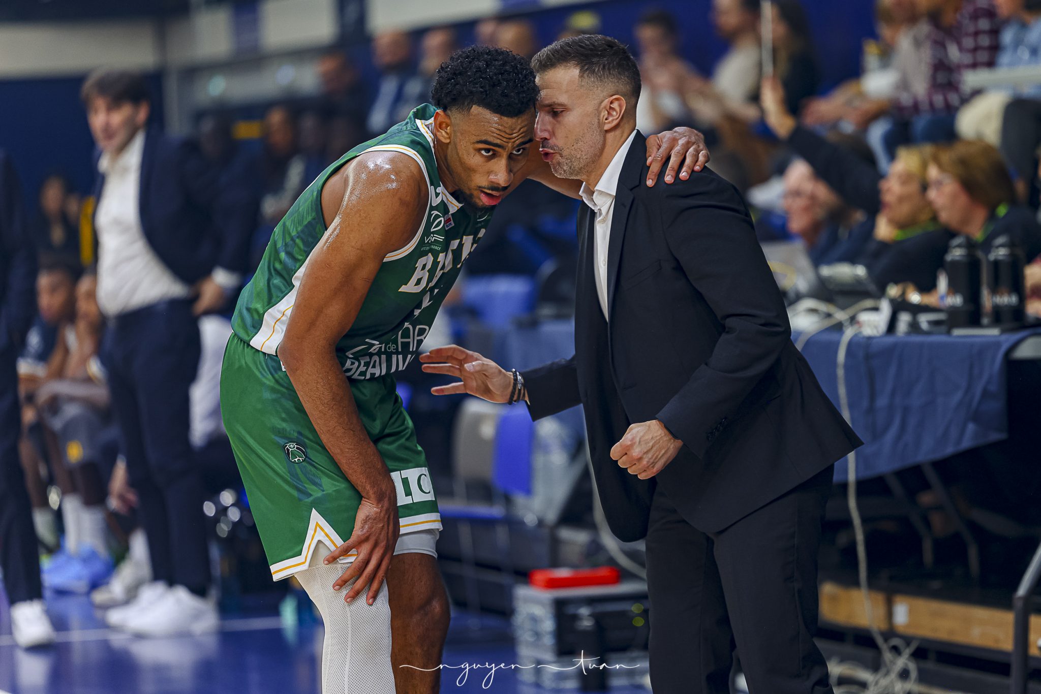 David Morabito promu coach principal à l'ADA Blois - BeBasket